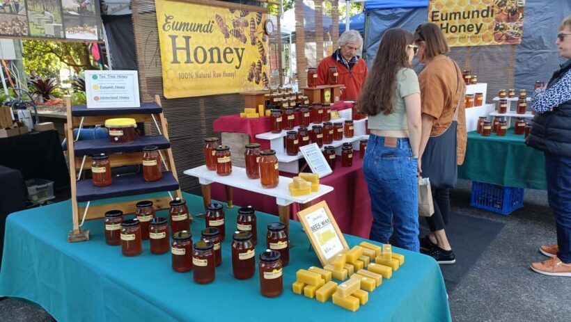 Noosa Heads and Eumundi Markets Private Tour from Brisbane - Final Thoughts
