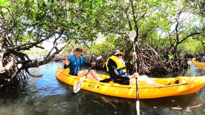 Noosa Heads: Hidden Waterways Wildlife Kayak (Fully Guided) - Why the Noosa Waterways Tour Is Worth Considering