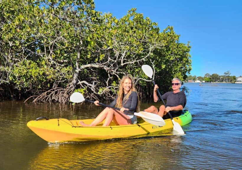 Noosa Heads: Hidden Waterways Wildlife Kayak (Self-Guided) - Comparing to Similar Experiences