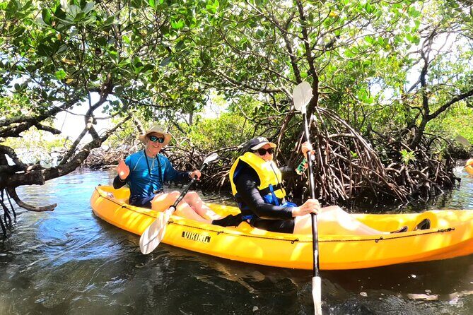 Noosa Heads: Hidden Waterways & Wildlife Kayak Tour - Key Points