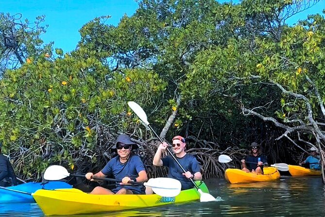 Noosa Heads: Hidden Waterways & Wildlife Kayak Tour - A Closer Look at the Noosa Waterways & Wildlife Kayak Tour