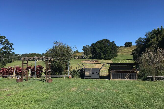 Noosa Hinterland Tour with Lunch, Wine & Cheese Tasting & more - Who This Tour Is Best For