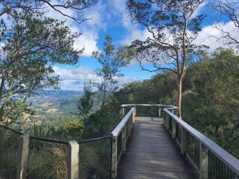 Noosa: Maleny & Montville Tour with Lunch & Wine Tasting - Who Will Love This Tour?