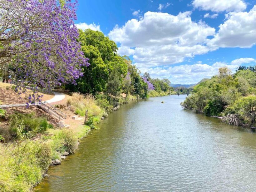 Noosa: Mary Valley Tour with Mary Valley Rattler and Lunch - Who Will Love This Tour?