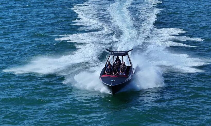 Noosa; Noosa Thriller Whale Watching - Authentic Experiences from Travelers