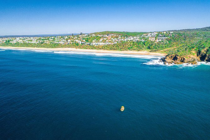 Noosa ocean adventure & Dolphin safari. - What to Expect from the Experience