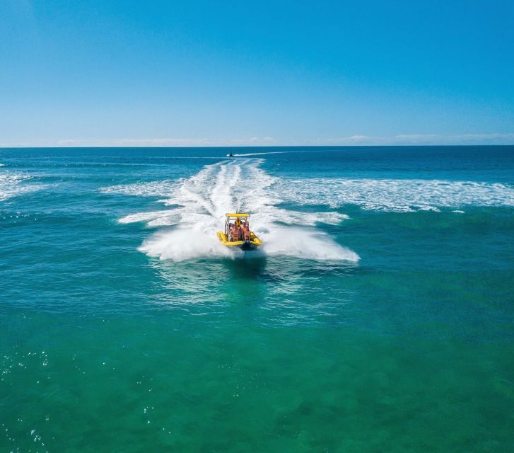 Noosa Ocean adventure & Dolphin Safari. - Key Points