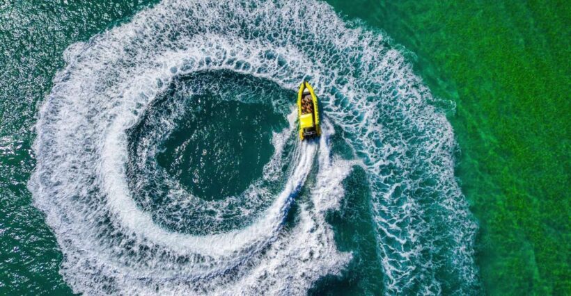 Noosa Ocean adventure & Dolphin Safari. - An Introduction to the Noosa Ocean Adventure & Dolphin Safari