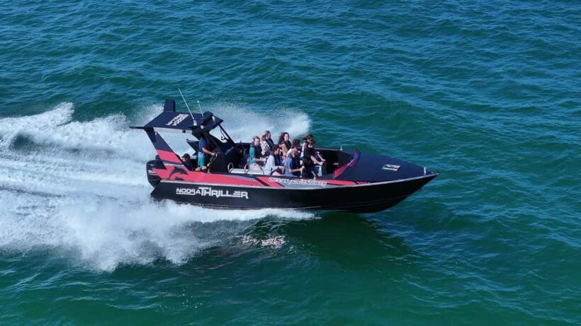 Noosa: Ocean Adventure & Dolphin Safari - Key Points
