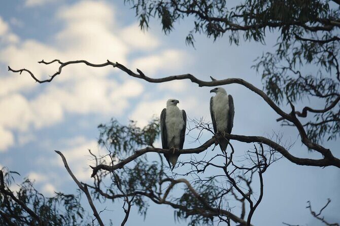 Noosa Queen Sunset Cruise River - An In-depth Look at the Noosa Queen Sunset Cruise