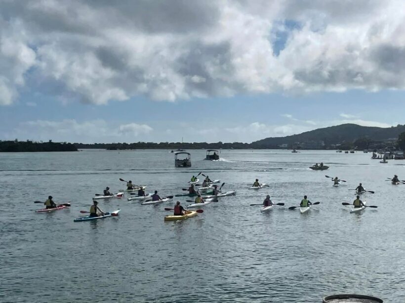 Noosa River: Mangroves and Mansions Guided Kayak Tour - Key Points