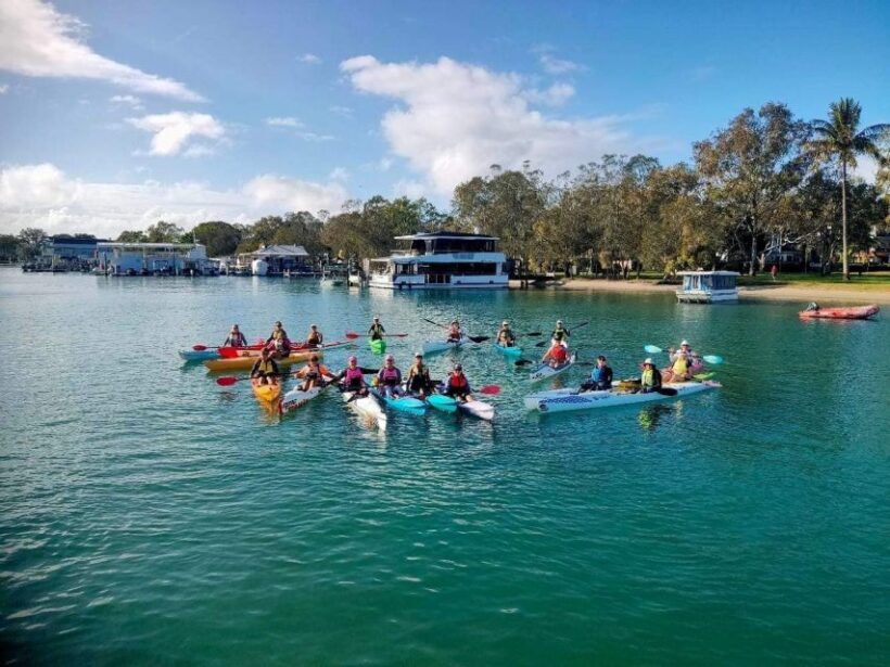 Noosa River: Mangroves and Mansions Guided Kayak Tour - A Deep Dive into the Noosa Kayak Experience