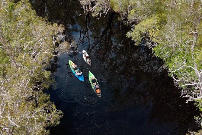 Noosa Sightseeing Adventure - Ferry Cruise, Ride and Kayak - In-Depth Look at the Itinerary
