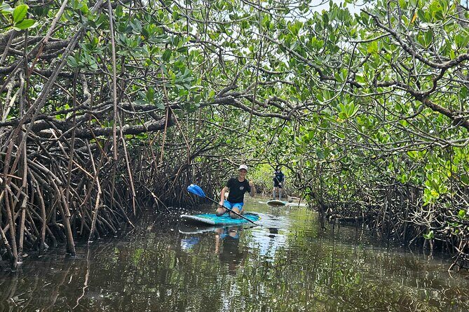 Noosa Stand Up Paddle Group Lesson - Final Thoughts: Is it Worth It?