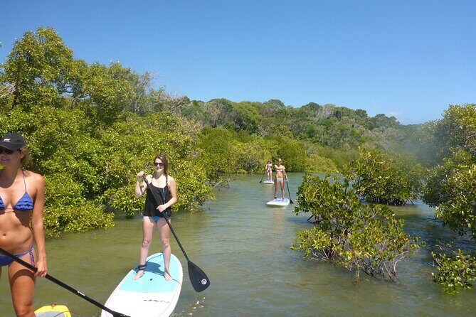Noosa Stand Up Paddle & Mangrove Tunnel Tour - Exploring the Noosa Stand Up Paddle & Mangrove Tunnel Tour