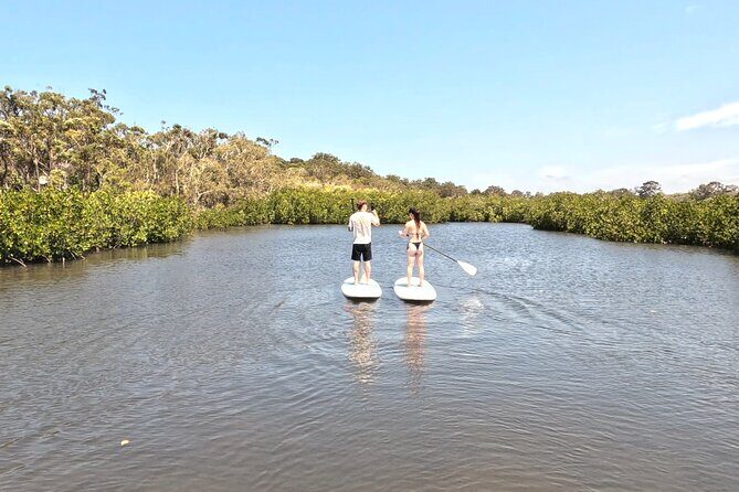 Noosa Stand Up Paddle & Mangrove Tunnel Tour - Is This Tour Right for You?