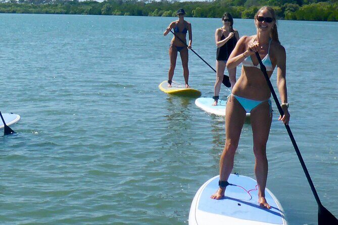 Noosa Stand Up Paddle & Mangrove Tunnel Tour - FAQ