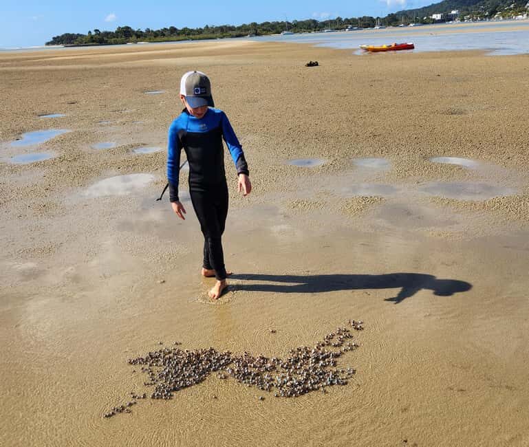 Noosa Stand Up Paddle & Mangrove Tunnel Tour (Self Guided) - Final Thoughts: Is It Worth It?