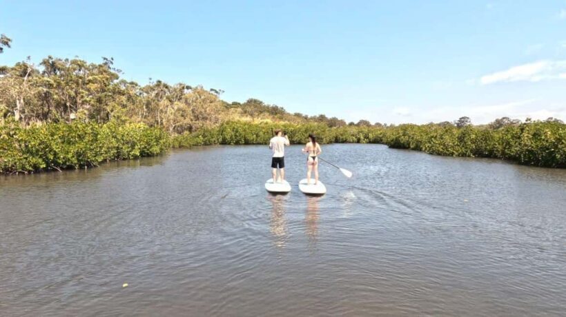 Noosa Stand Up Paddle & Mangrove Tunnel Tour (Self Guided) - Frequently Asked Questions