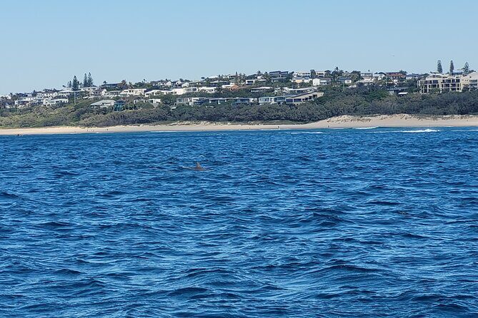 Noosa Surfing and Snorkel Boat Charters to Sunshine Coast in QLD - Price & Value: Is It Worth It?