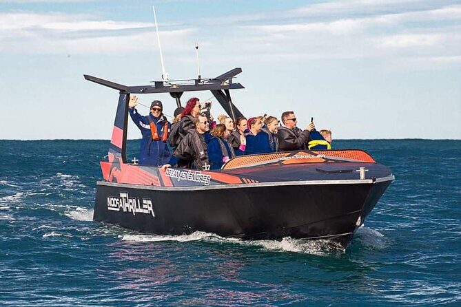 Noosa Thriller: Ocean & Dolphin Adventure Tour - Key Points