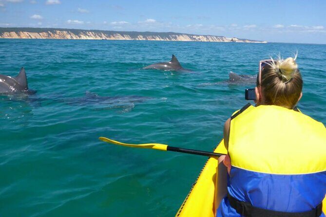 Noosa Whale Watching On Ocean Kayaks & Beach 4X4 Tour - Final Thoughts: Why You Should Consider This Tour