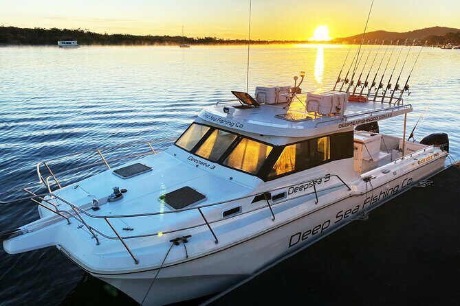 Noosa Whale Watching Tours - The Itinerary: What to Expect on Your Marine Adventure