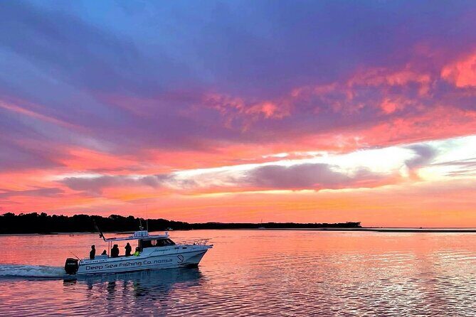 Noosa Whale Watching Tours - Who Should Consider This Tour?