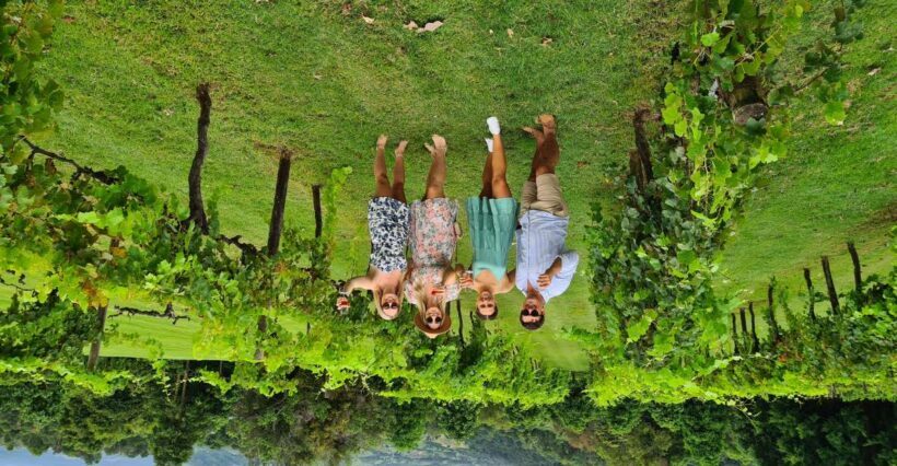Noosa: Winery, Gin Distillery and Brewery Tour with Lunch - Key Points