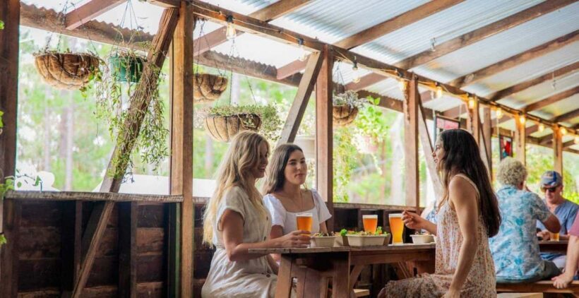 Noosa: Winery, Gin Distillery and Brewery Tour with Lunch - Discovering the Noosa Hinterland: An Authentic Food and Drink Journey