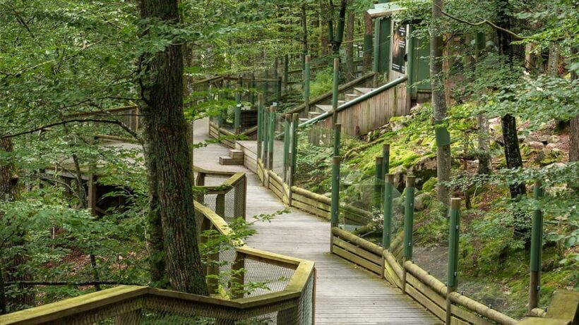 Nordens Ark Entry Ticket - Final Thoughts