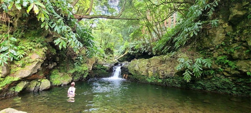 Nordeste/Northeast coast FULL DAY Waterfalls Hike - Key Points