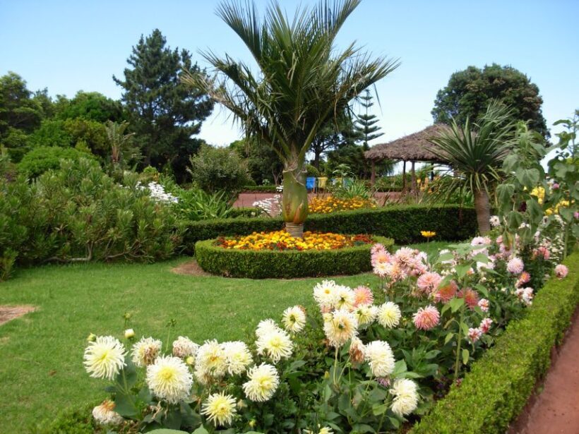 Nordeste Private Tour (2 people) - Who Will Love This Tour?