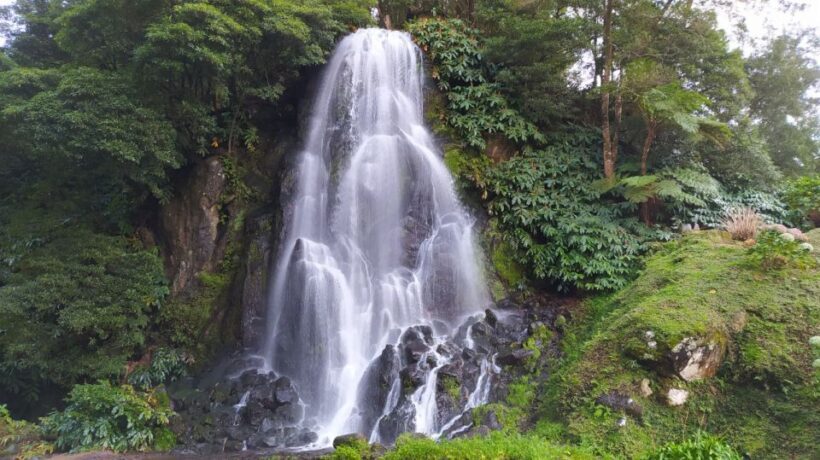 Nordeste Private Tour (2 people) - Reviews: What Past Travelers Say