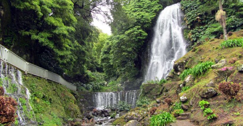 Nordeste Tour from Ponta Delgada - Exploring the Nordeste Tour from Ponta Delgada: An Authentic Azorean Experience