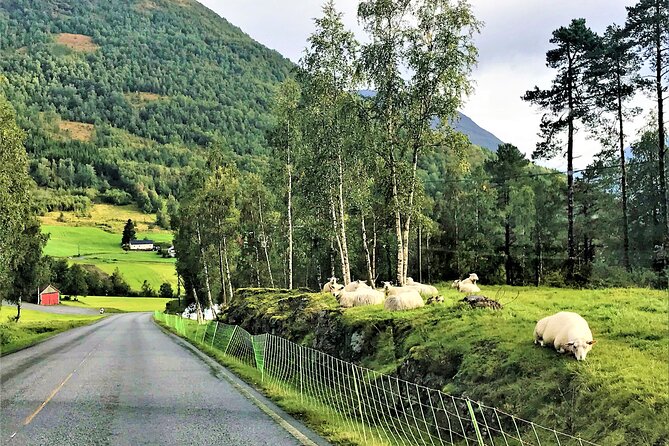 Nordfjordeid Private Shore Excursion, Glaciers and SkyLift Ride - FAQs