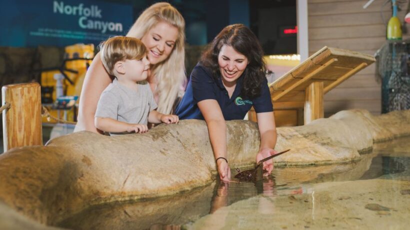 Norfolk: Virginia Zoo & Battleship Wisconsin Combo Ticket - What To Expect & Practical Tips