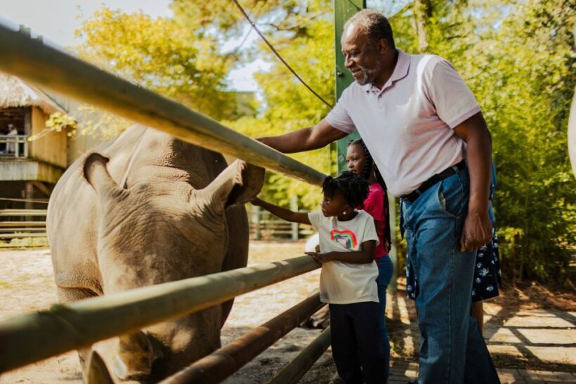 Norfolk: Virginia Zoo & Battleship Wisconsin Combo Ticket - Authentic Experiences & What Travelers Are Saying