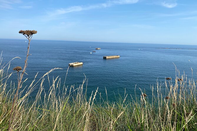 Normandy American & British DDay Beaches Halfday Tour from Bayeux - Who Should Book This Tour?