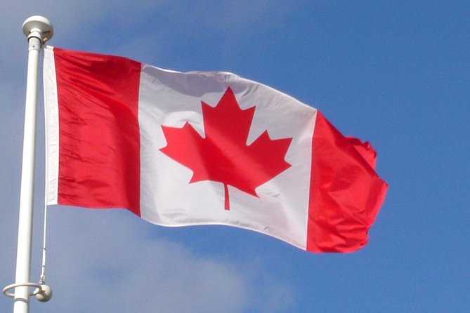 Normandy Battlefields Half Day Tour - Canadian World War II Sites - Tour Experience and Customer Feedback