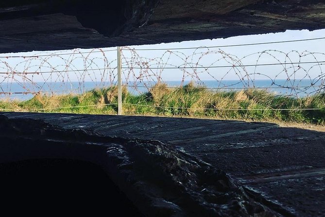 Normandy D-Day Landing Beaches Small-Group Day Trip from Paris - The Emotional and Educational Experience