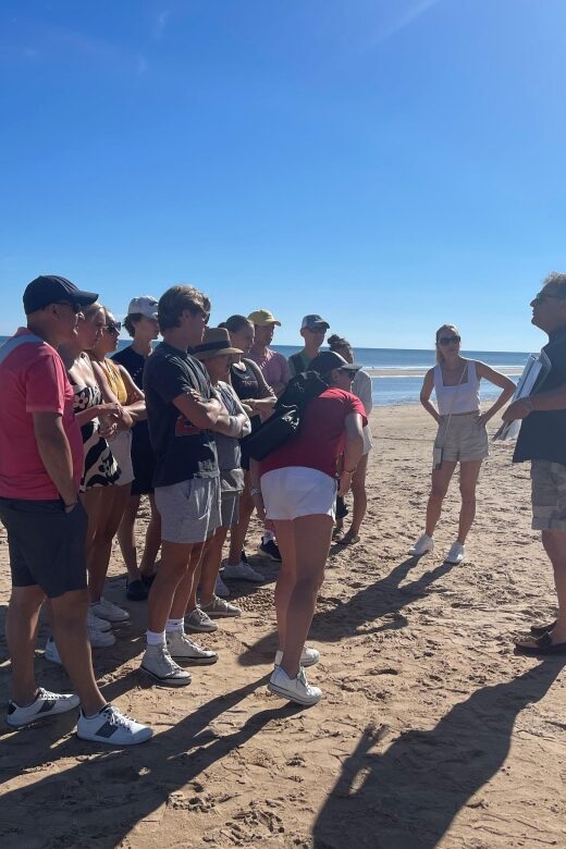 Normandy DDay Beaches Tours all year round - FAQs
