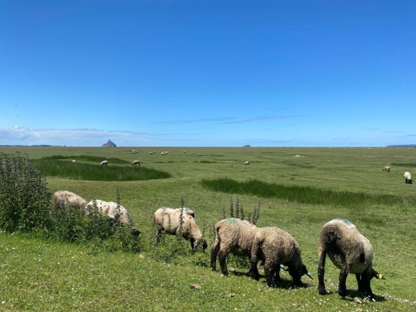Normandy: Private Guided Tour with a Local Expert - Introduction to the Experience