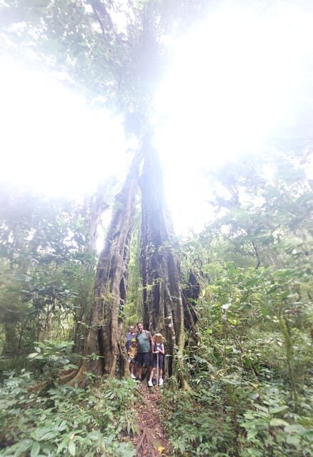 Nort Bali/Munduk:Twin Lakes Jungle Trekking&Canoing - Key Points