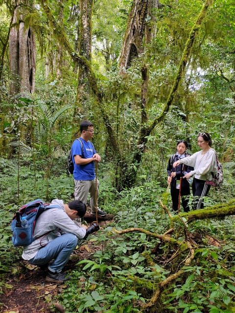 Nort Bali/Munduk:Twin Lakes Jungle Trekking&Canoing - Final Thoughts: Is It Worth It?