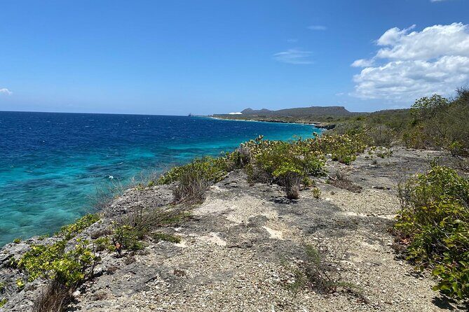 North and South Tour with Elgin a Local Guide - Who Should Consider This Tour?
