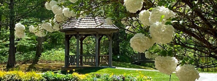 North Atlanta: Gibbs Gardens Self-Guided Slingshot Tour - Arriving at Gibbs Gardens: What to Expect
