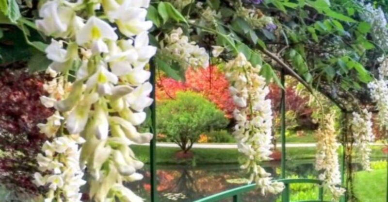 North Atlanta: Gibbs Gardens Self-Guided Slingshot Tour - Final Thoughts