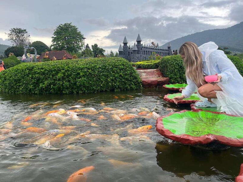 North Bali: Dolphin, Ulun Danu Temple, & Banyumala Waterfall - FAQ