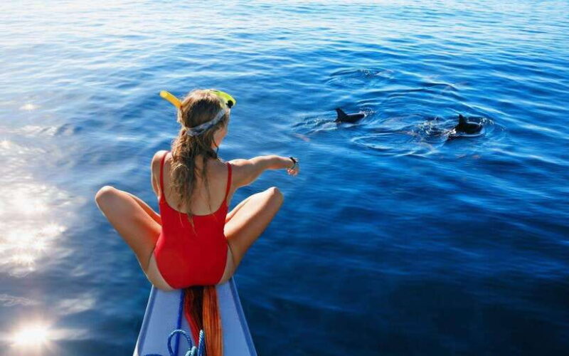 North Bali: Dolphin Watching and Snorkeling Tour - The Dolphin Watching Experience